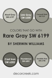 Rare Gray SW 6199 Paint Color by Sherwin Williams - DecorCreek
