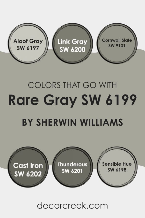 Rare Gray SW 6199 Paint Color by Sherwin Williams - DecorCreek