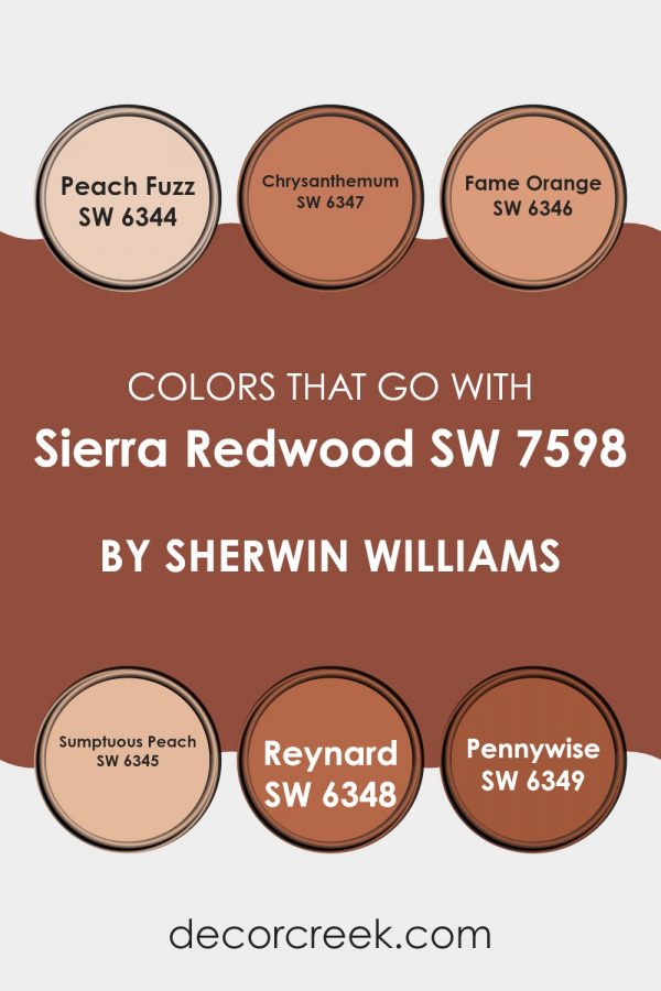 Sierra Redwood SW 7598 Paint Color by Sherwin Williams - DecorCreek