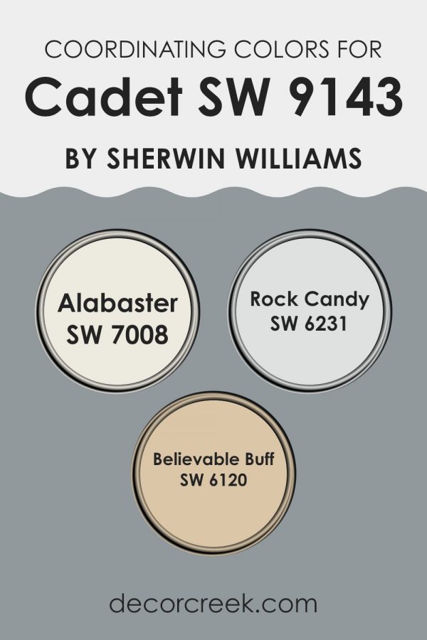 Cadet SW 9143 Paint Color by Sherwin Williams - DecorCreek