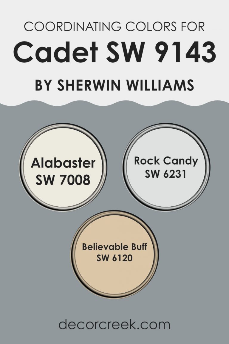 Cadet SW 9143 Paint Color by Sherwin Williams - DecorCreek