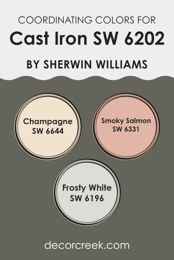 Cast Iron SW 6202 Paint Color by Sherwin Williams - DecorCreek