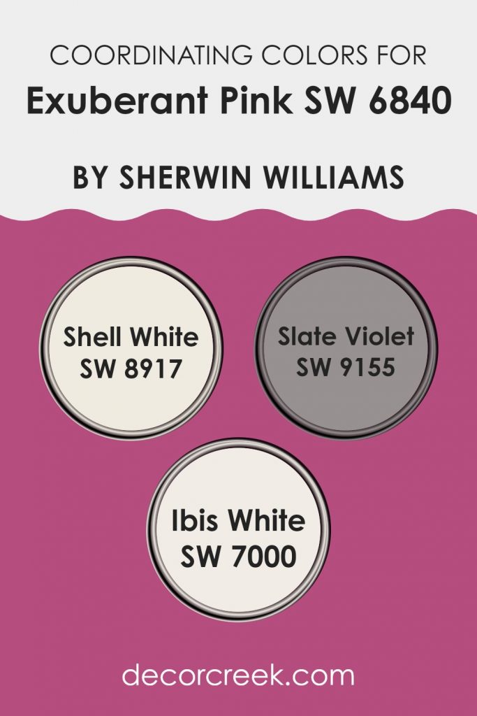 Exuberant Pink SW 6840 Paint Color by Sherwin Williams - DecorCreek
