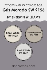 Gris Morado SW 9156 Paint Color by Sherwin Williams - DecorCreek