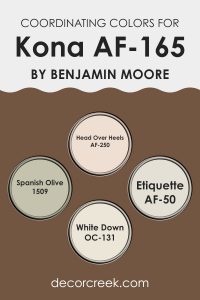 Kona AF-165 Paint Color by Benjamin Moore - DecorCreek