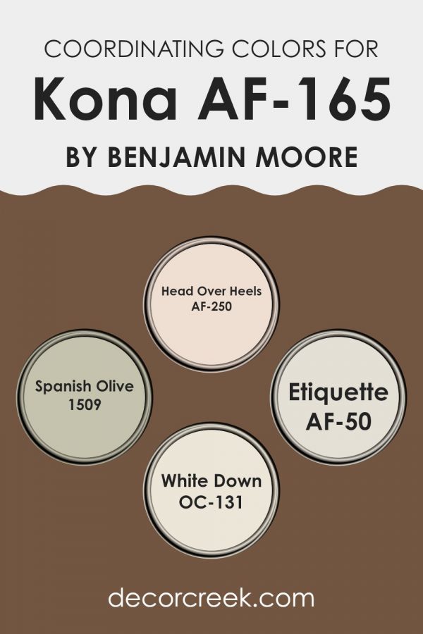 Kona AF-165 Paint Color by Benjamin Moore - DecorCreek