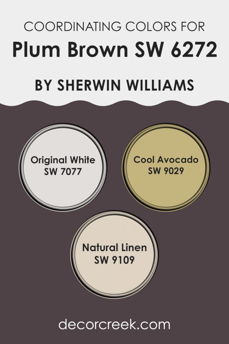 Plum Brown SW 6272 Paint Color by Sherwin Williams - DecorCreek