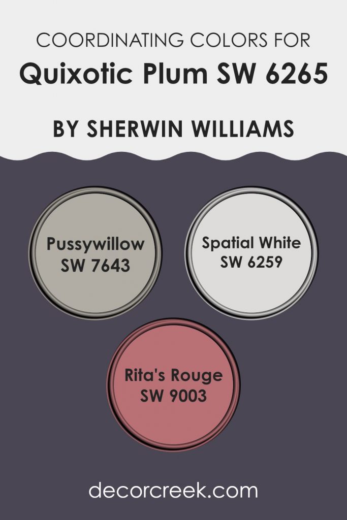 Quixotic Plum SW 6265 Paint Color by Sherwin Williams - DecorCreek