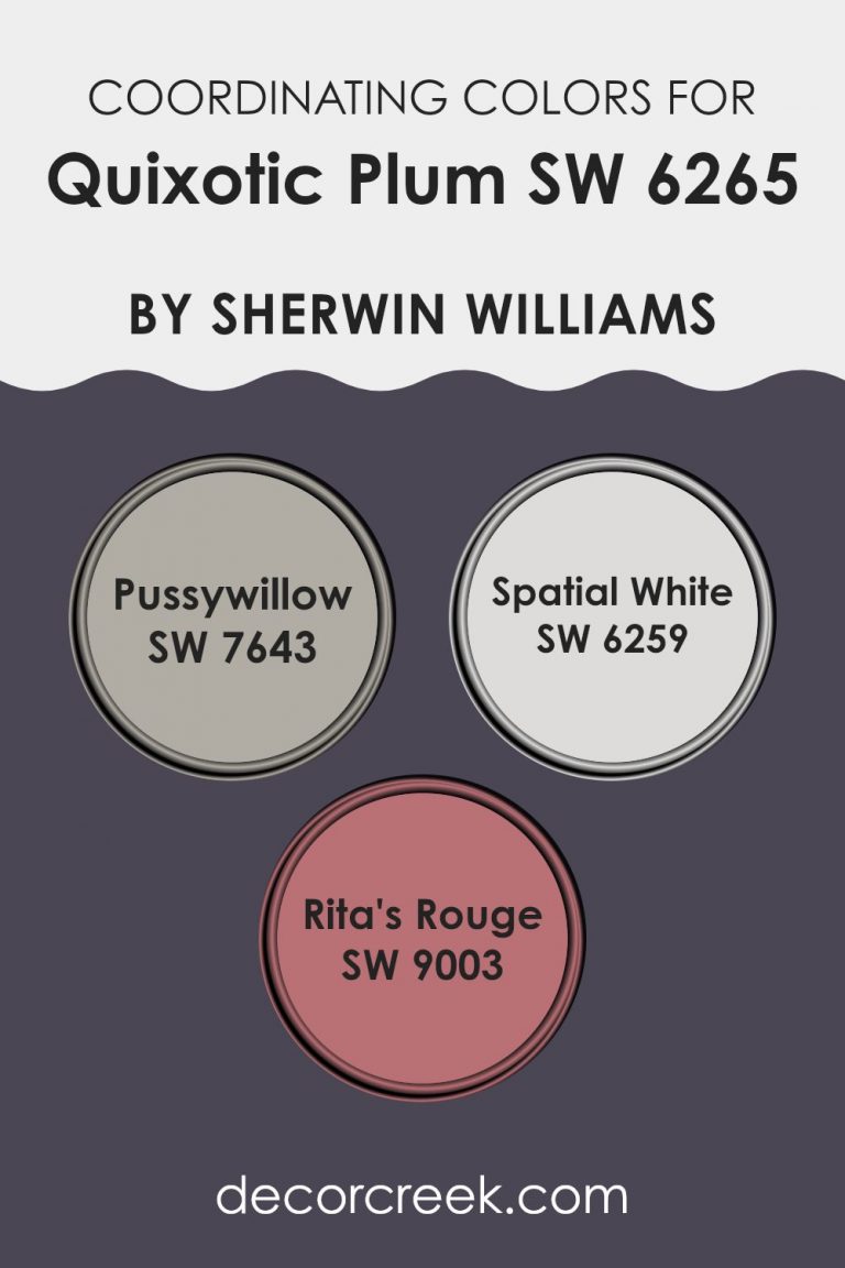 Quixotic Plum SW 6265 Paint Color by Sherwin Williams - DecorCreek