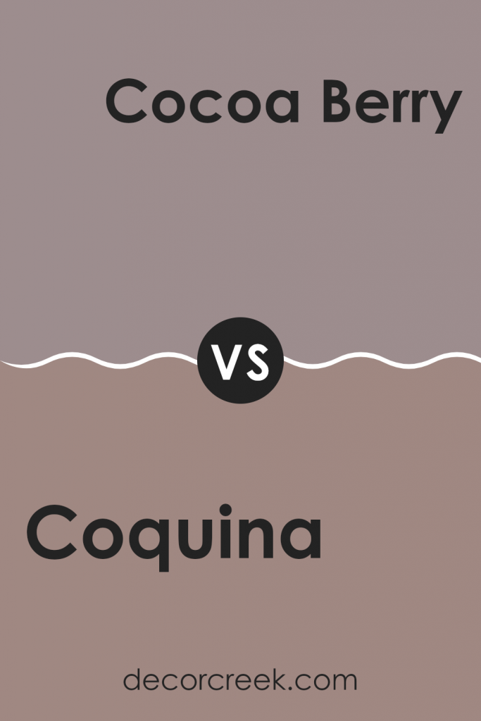 Coquina SW 9158 Paint Color by Sherwin Williams - DecorCreek