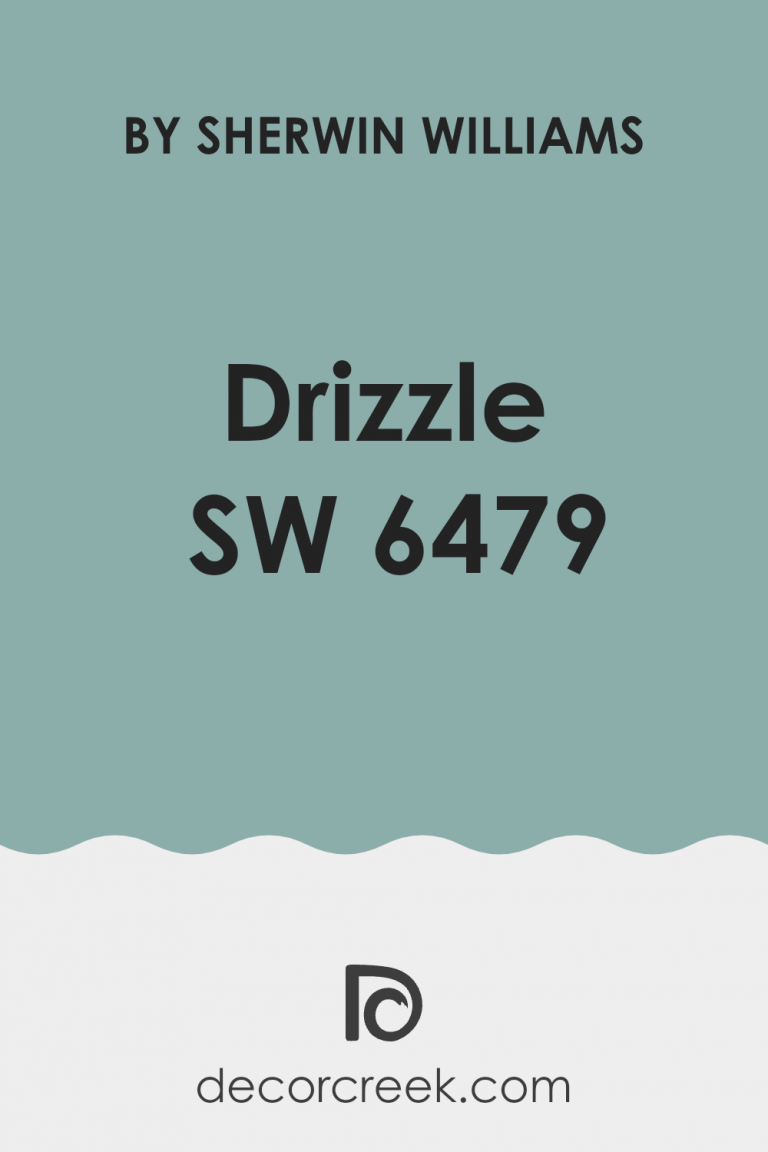 Drizzle SW 6479 Paint Color by Sherwin Williams - DecorCreek