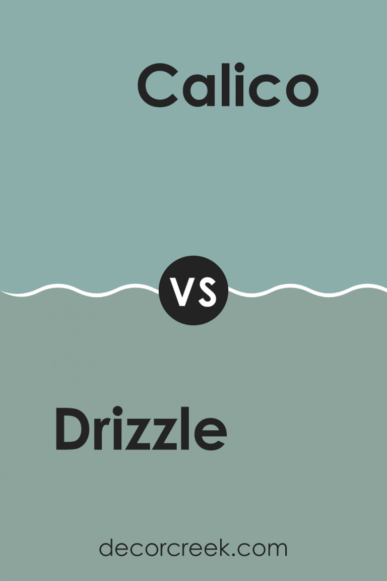 Drizzle SW 6479 Paint Color by Sherwin Williams - DecorCreek