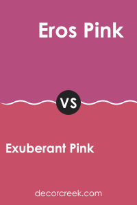 Exuberant Pink SW 6840 Paint Color by Sherwin Williams - DecorCreek
