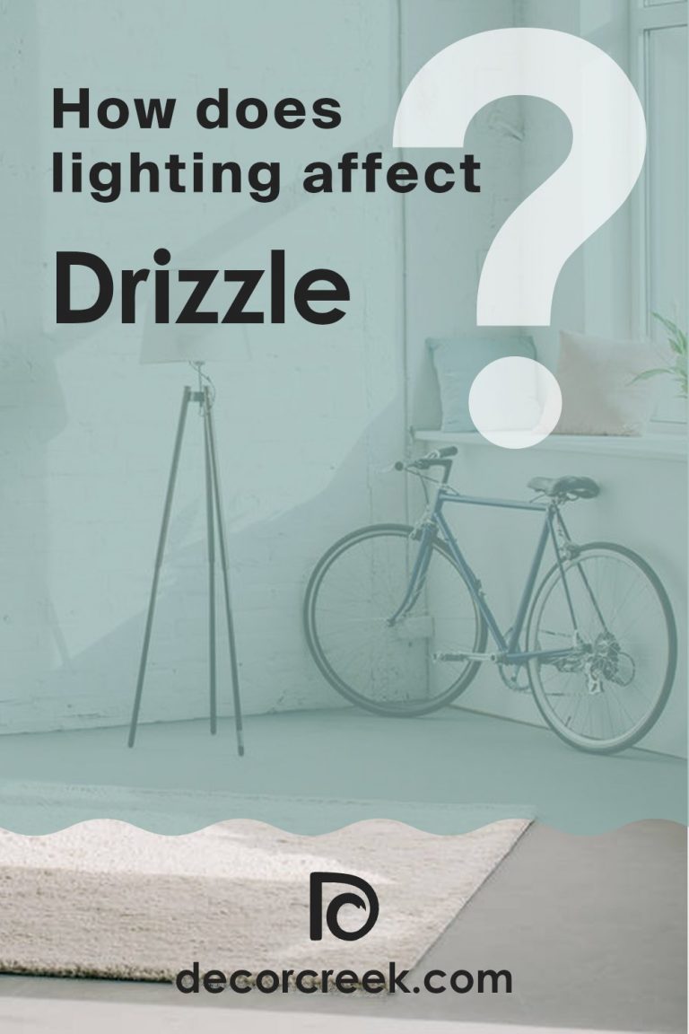 Drizzle SW 6479 Paint Color by Sherwin Williams - DecorCreek