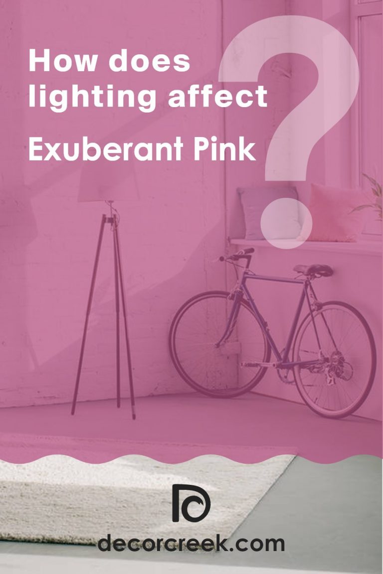 Exuberant Pink SW 6840 Paint Color by Sherwin Williams - DecorCreek