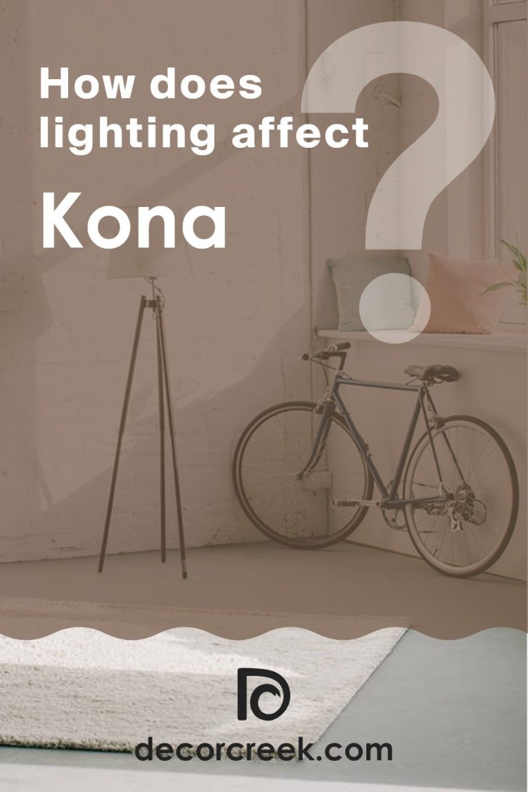 Kona AF-165 Paint Color by Benjamin Moore - DecorCreek