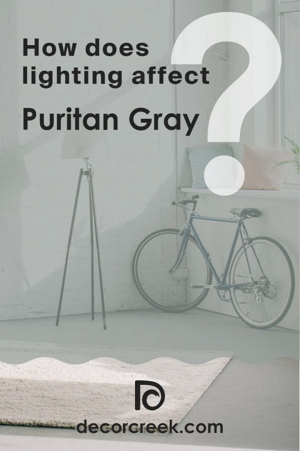 Puritan Gray HC-164 Paint Color by Benjamin Moore - DecorCreek