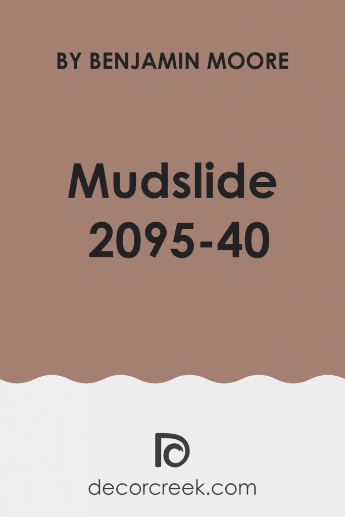 Mudslide 2095-40 Paint Color by Benjamin Moore - DecorCreek