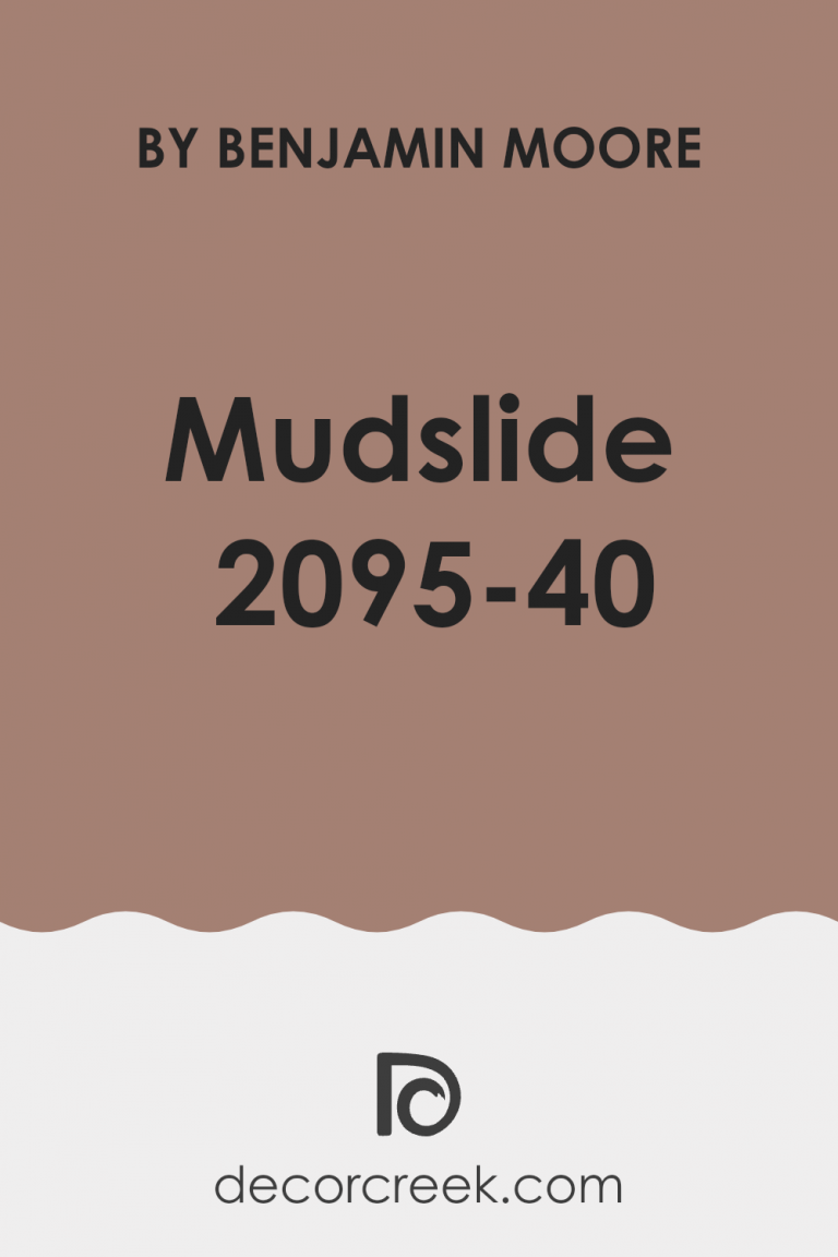 Mudslide 2095-40 Paint Color by Benjamin Moore - DecorCreek