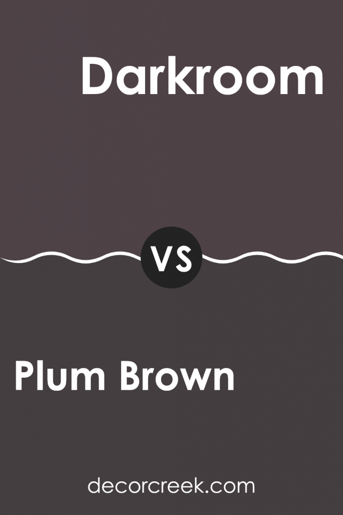 Plum Brown SW 6272 Paint Color by Sherwin Williams - DecorCreek