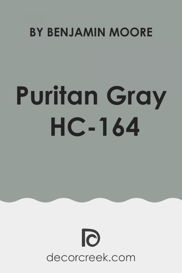 Puritan Gray HC-164 Paint Color by Benjamin Moore - DecorCreek