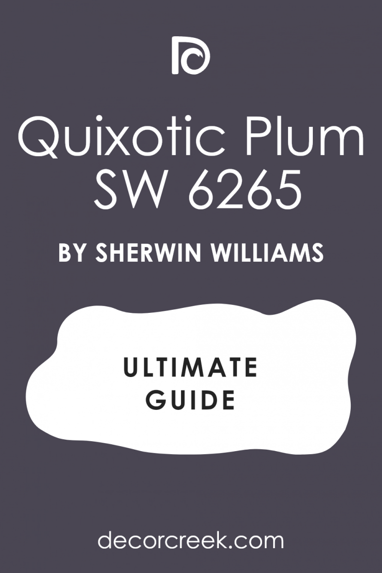 Quixotic Plum SW 6265 Paint Color by Sherwin Williams - DecorCreek