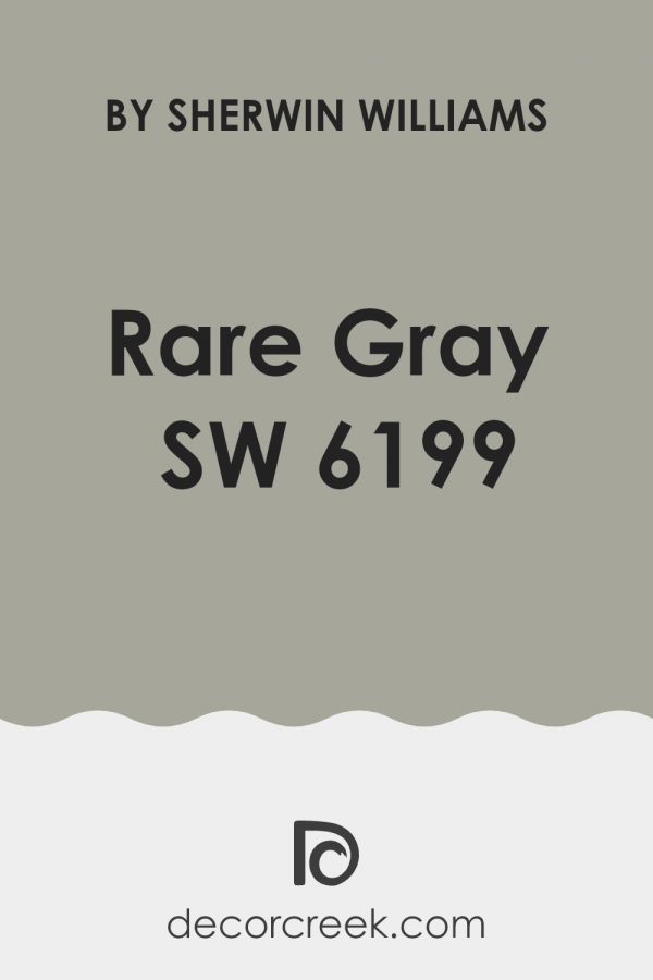 Rare Gray SW 6199 Paint Color by Sherwin Williams - DecorCreek