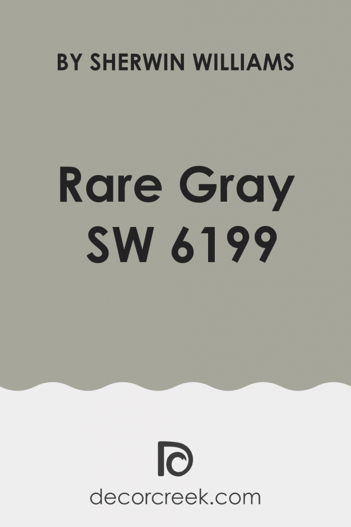 Rare Gray SW 6199 Paint Color by Sherwin Williams - DecorCreek