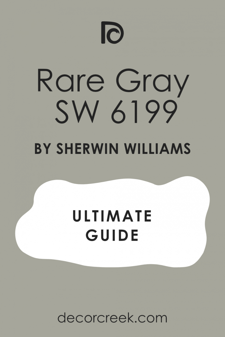 Rare Gray SW 6199 Paint Color by Sherwin Williams - DecorCreek