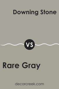 Rare Gray SW 6199 Paint Color by Sherwin Williams - DecorCreek
