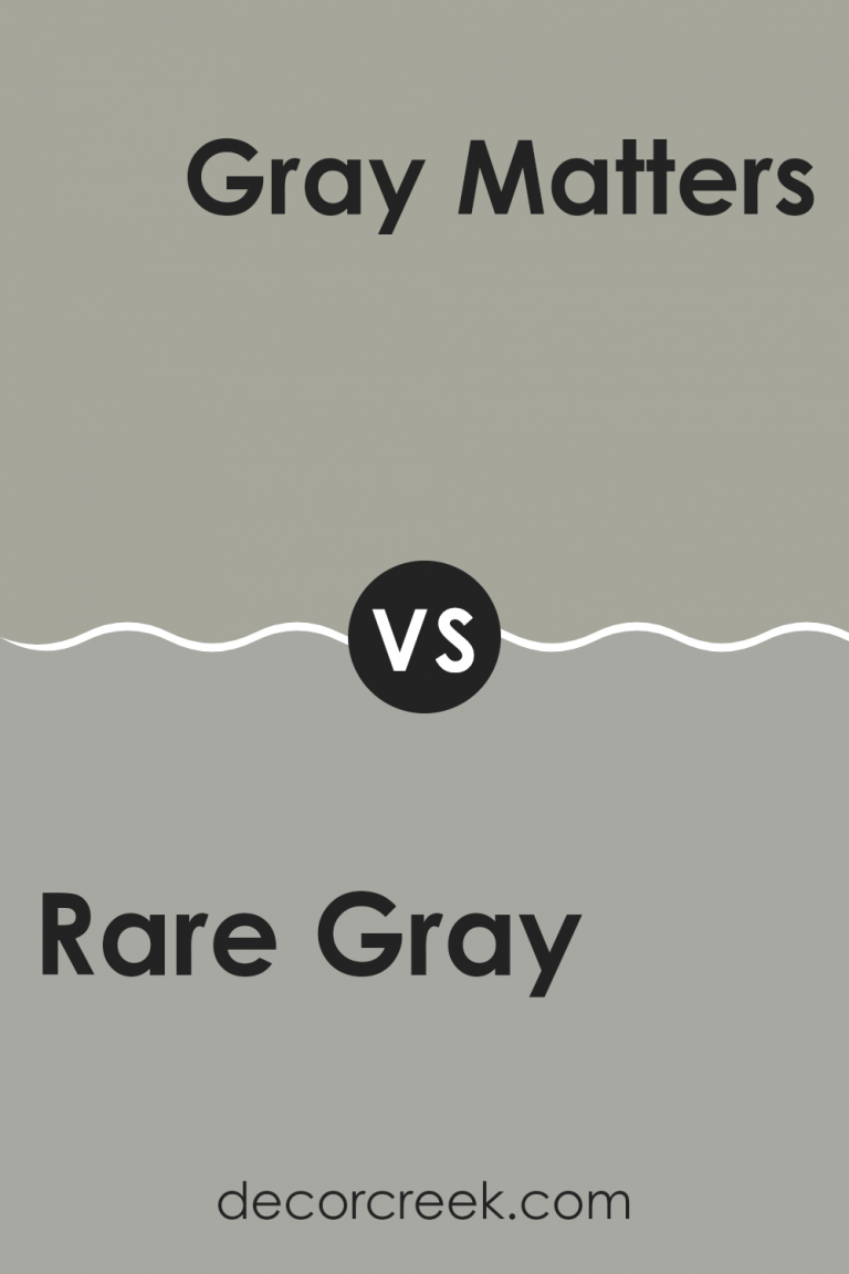 Rare Gray SW 6199 Paint Color by Sherwin Williams - DecorCreek