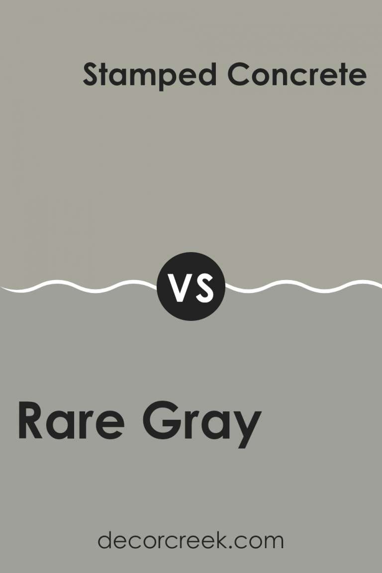 Rare Gray SW 6199 Paint Color by Sherwin Williams - DecorCreek