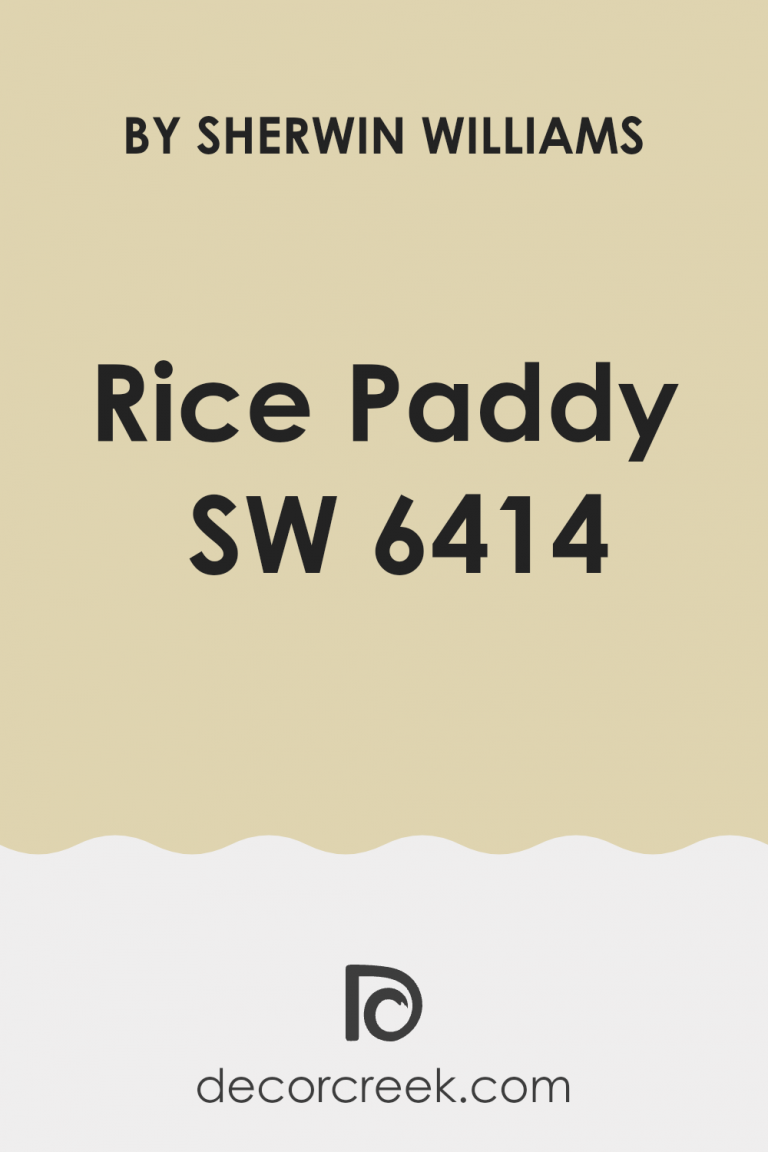 Rice Paddy SW 6414 Paint Color by Sherwin Williams - DecorCreek
