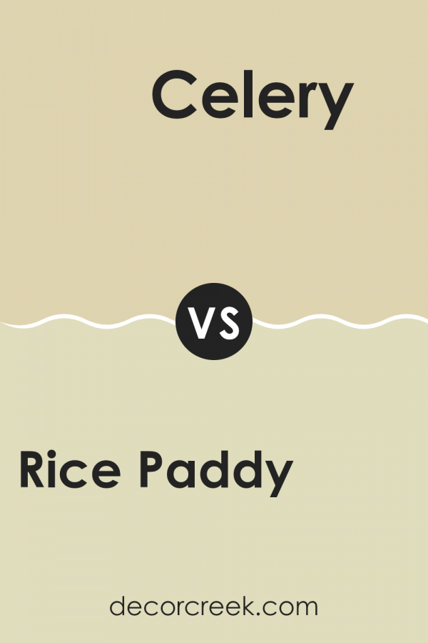 Rice Paddy SW 6414 Paint Color by Sherwin Williams - DecorCreek