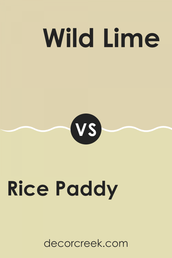 Rice Paddy SW 6414 Paint Color by Sherwin Williams - DecorCreek