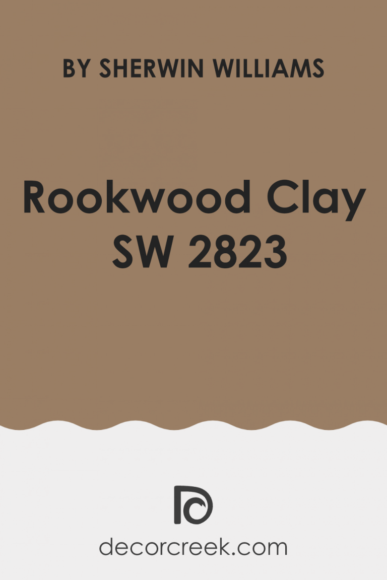 Rookwood Clay SW 2823 Paint Color by Sherwin Williams - DecorCreek