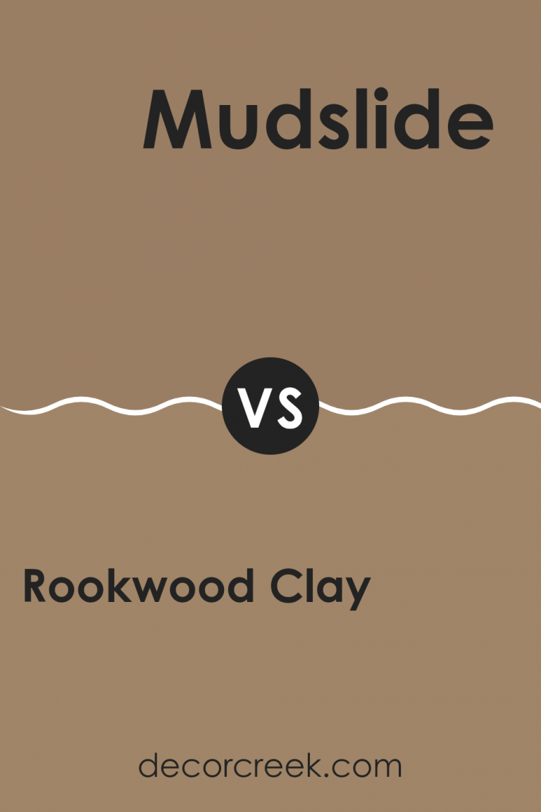 Rookwood Clay SW 2823 Paint Color by Sherwin Williams - DecorCreek