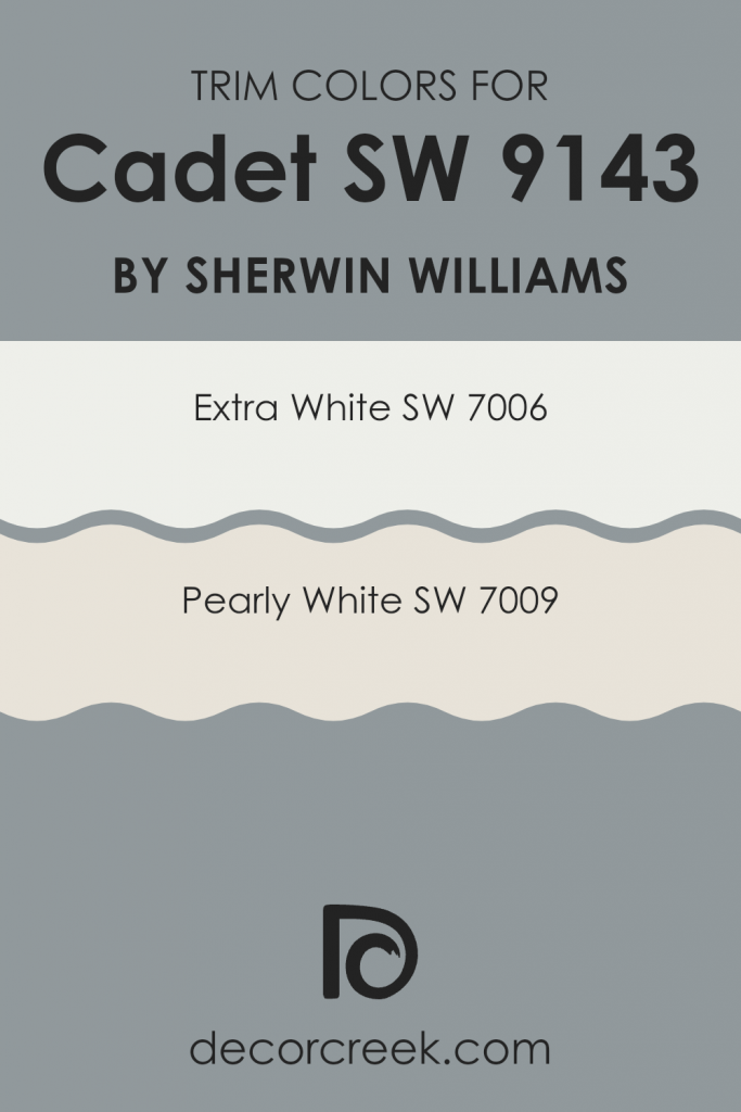 Cadet SW 9143 Paint Color by Sherwin Williams - DecorCreek