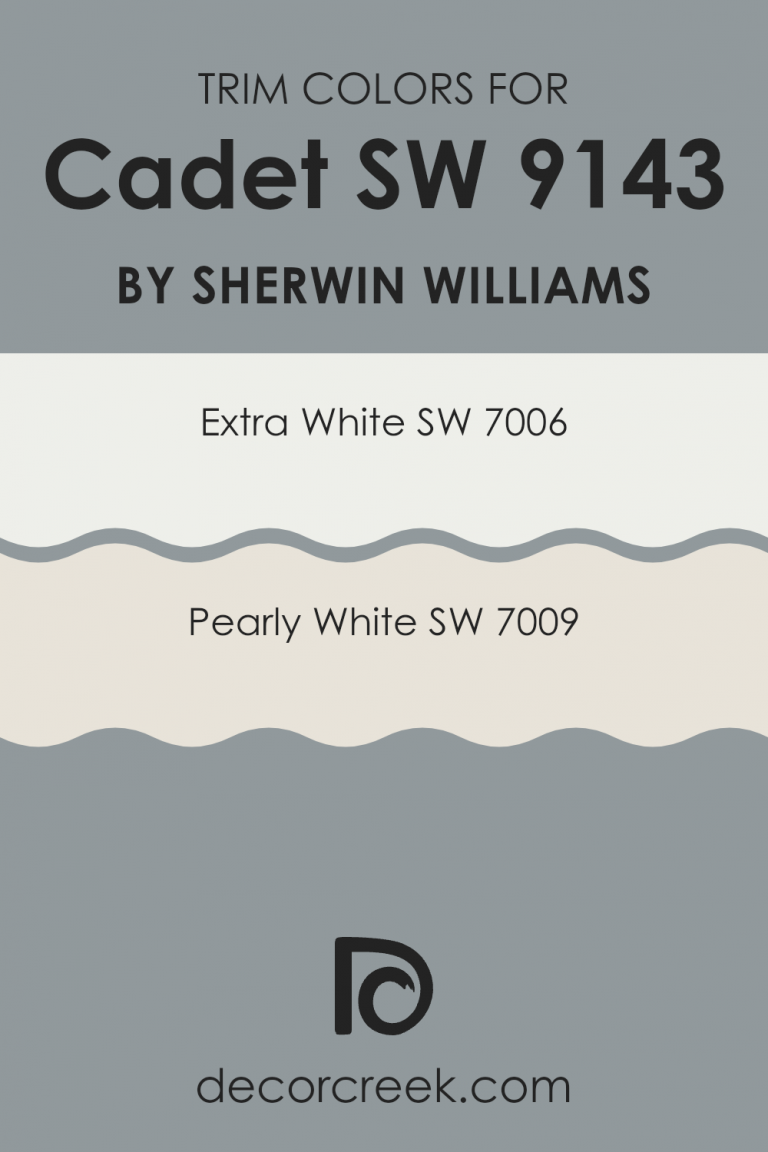 Cadet SW 9143 Paint Color by Sherwin Williams - DecorCreek