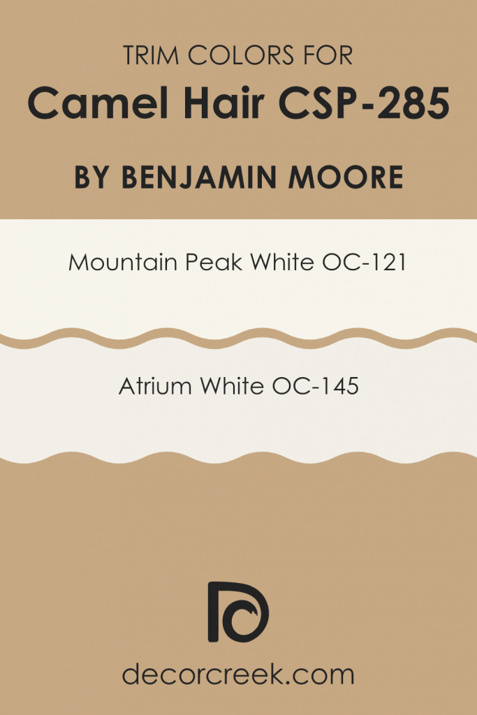 Camel Hair CSP-285 Paint Color by Benjamin Moore - DecorCreek