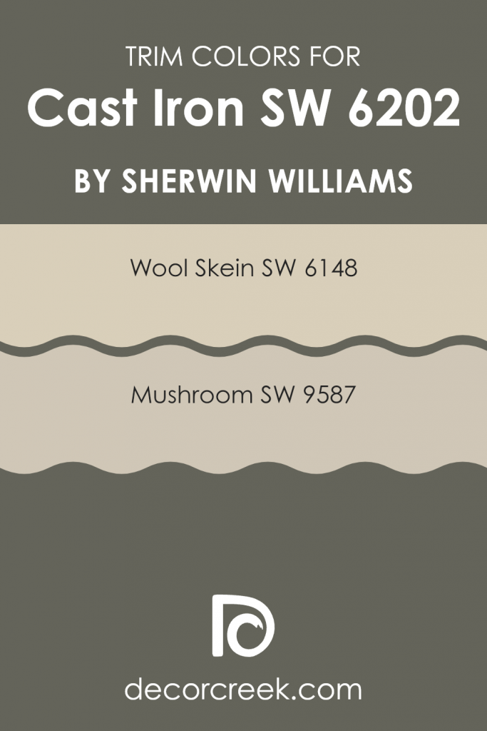 Cast Iron SW 6202 Paint Color by Sherwin Williams - DecorCreek