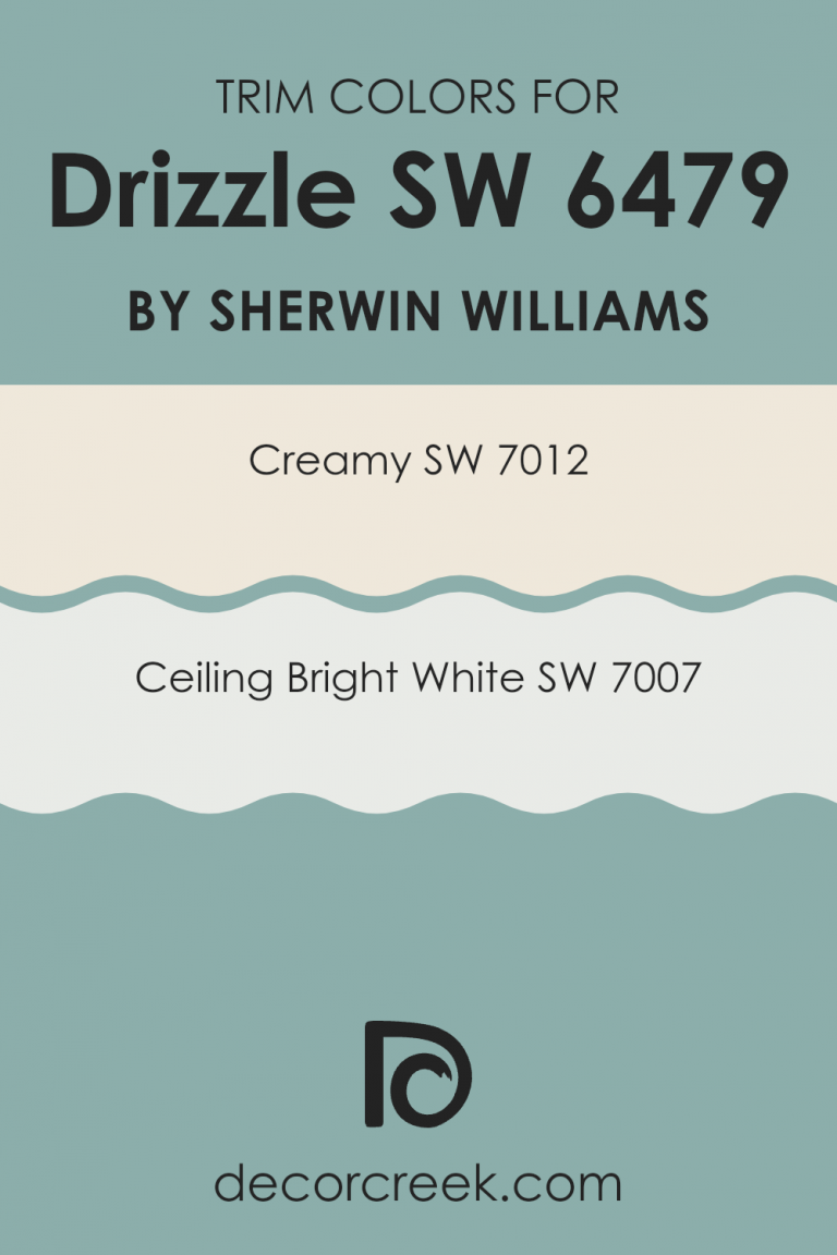 Drizzle SW 6479 Paint Color by Sherwin Williams - DecorCreek