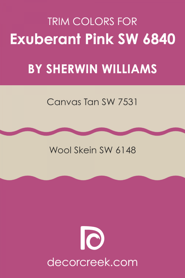 Exuberant Pink SW 6840 Paint Color by Sherwin Williams - DecorCreek