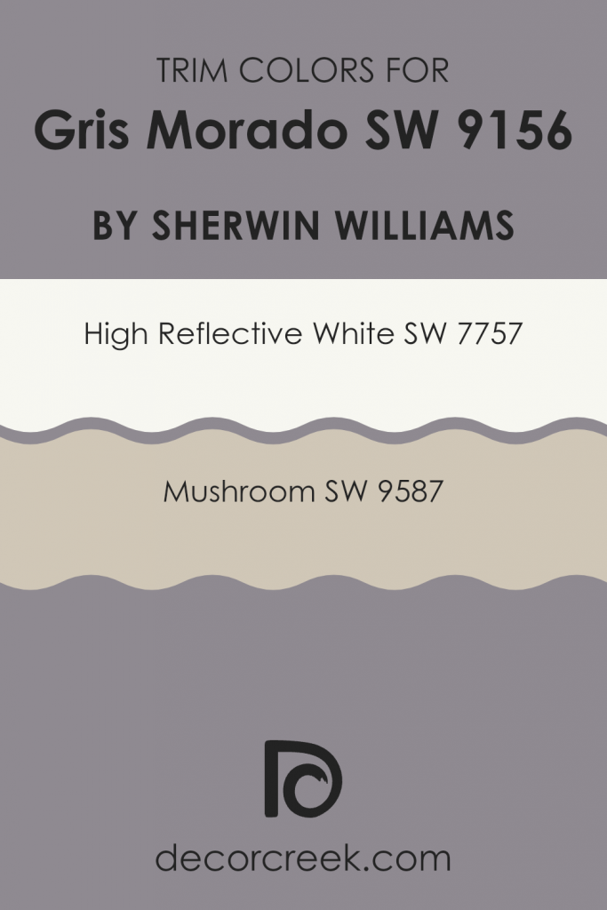 Gris Morado SW 9156 Paint Color by Sherwin Williams - DecorCreek