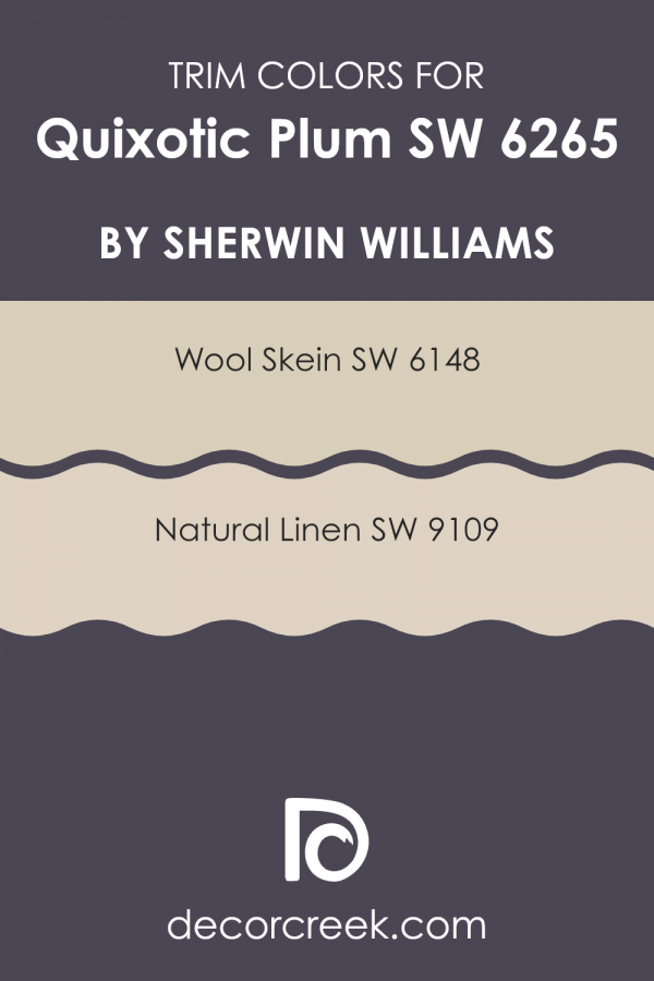 Quixotic Plum SW 6265 Paint Color by Sherwin Williams - DecorCreek