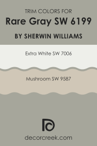 Rare Gray SW 6199 Paint Color by Sherwin Williams - DecorCreek