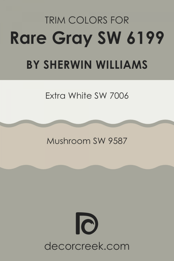 Rare Gray SW 6199 Paint Color by Sherwin Williams - DecorCreek
