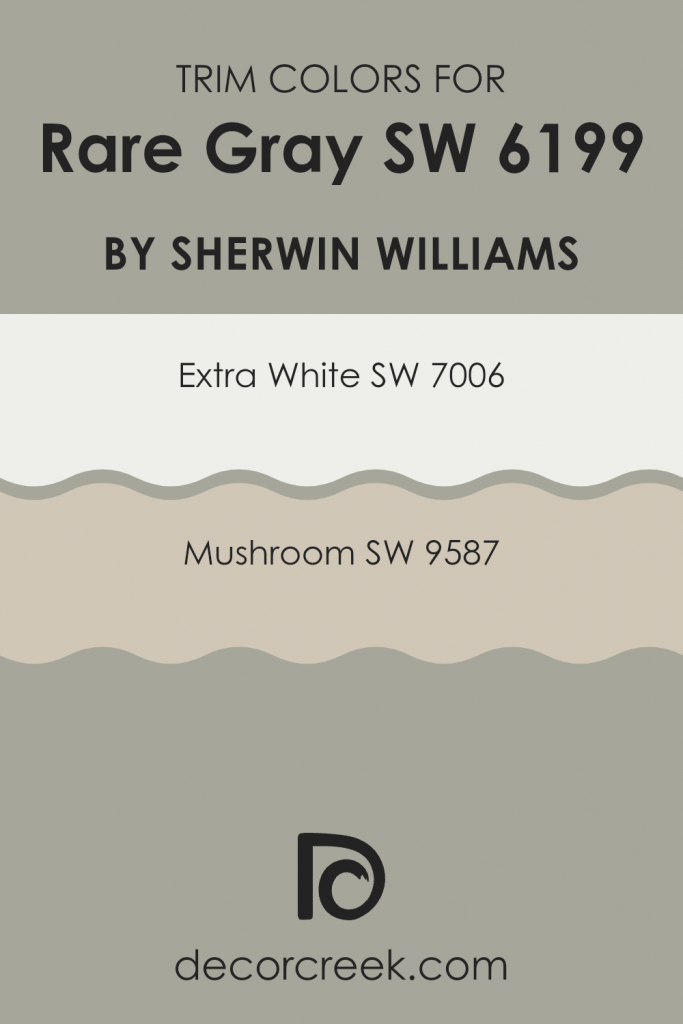 Rare Gray SW 6199 Paint Color by Sherwin Williams - DecorCreek