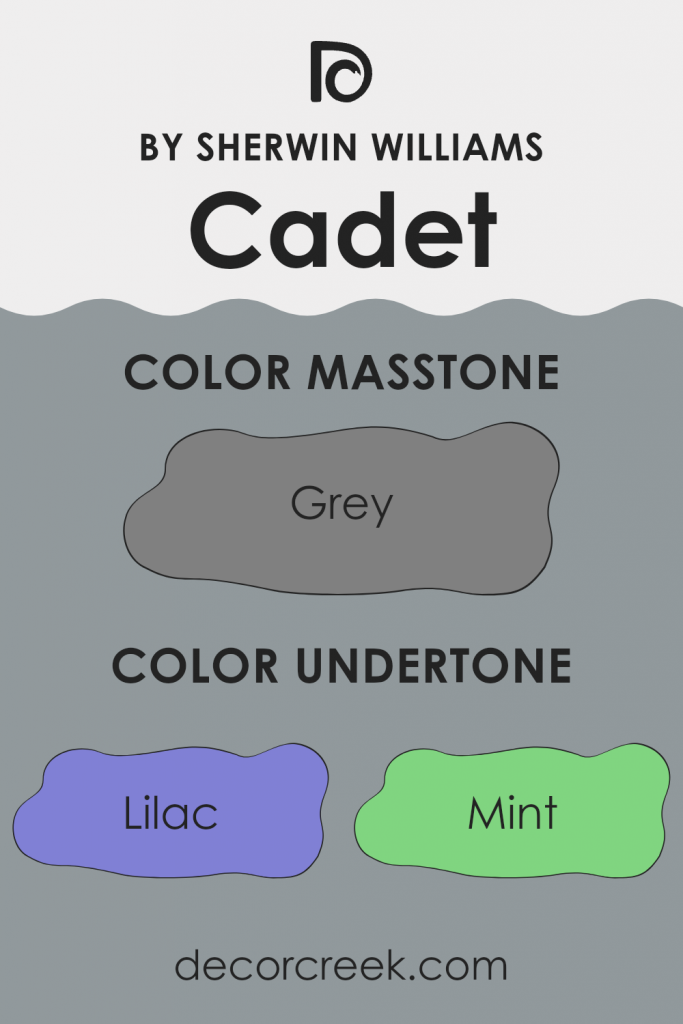 Cadet SW 9143 Paint Color by Sherwin Williams - DecorCreek