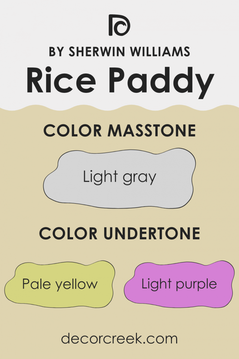 Rice Paddy SW 6414 Paint Color by Sherwin Williams - DecorCreek